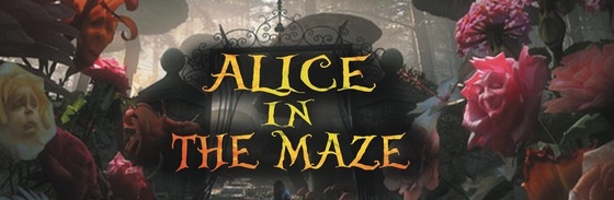 Alice in the Maze INFORMATION