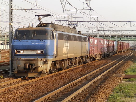 湘南 渚電鉄 EF200 クジラのアルバム